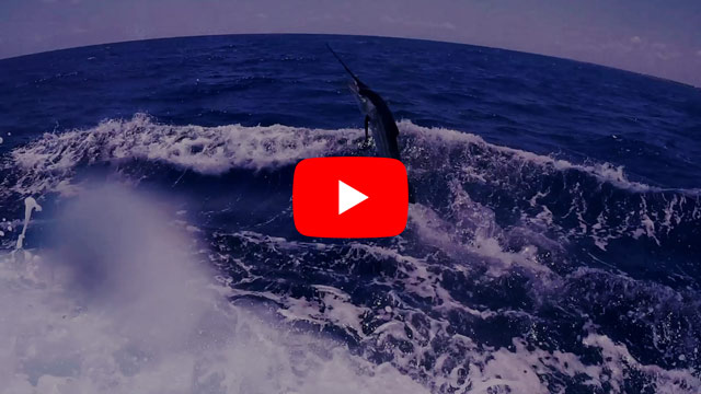 Big Rock Blue Marlin Tournament - Jarrett Bay Boatworks