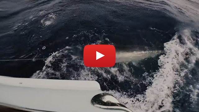 Custom Sportfish Yachts and Service from Jarrett Bay Boatworks