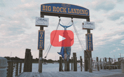 Custom Sportfish Yachts and Service from Jarrett Bay Boatworks